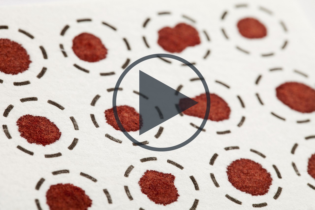 Meet Mitra: Revolutionary, Yet Absurdly Simple Dried Matrix ...