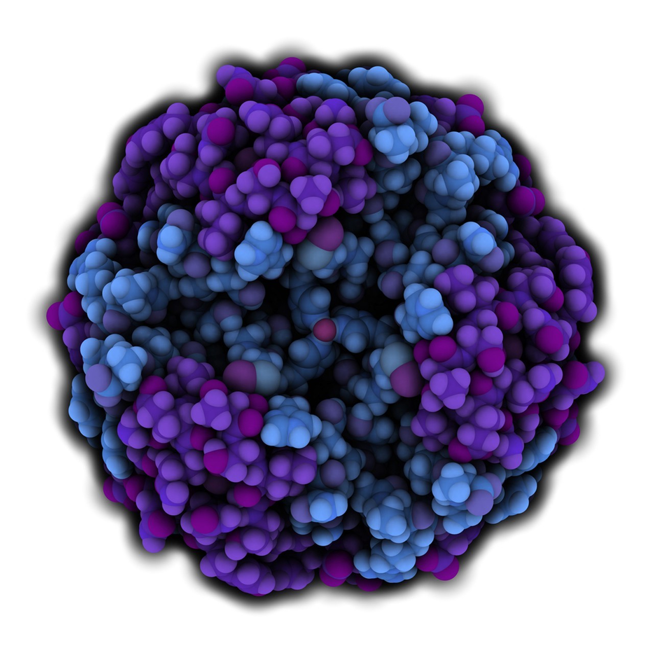Hot Topics in Large Molecule Bioanalysis Survey Infographic ...