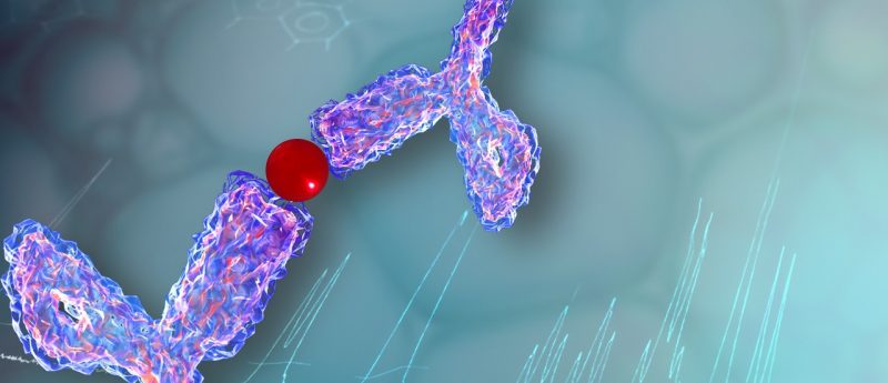 Webinar Q&A follow up: 'A hybrid LBA/LC-MS assay: realize the best of ...