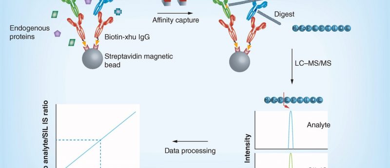 Validation of a biotherapeutic immunoaffinity-LC–MS/MS assay in monkey serum: ‘plug-and-play ...