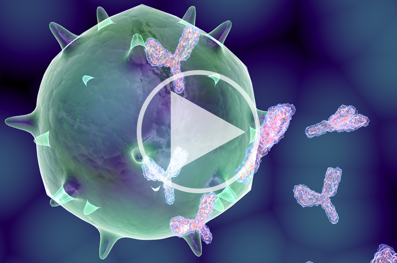 Impact of Recent Changes to FDA Immunogenicity Draft Guidance ...