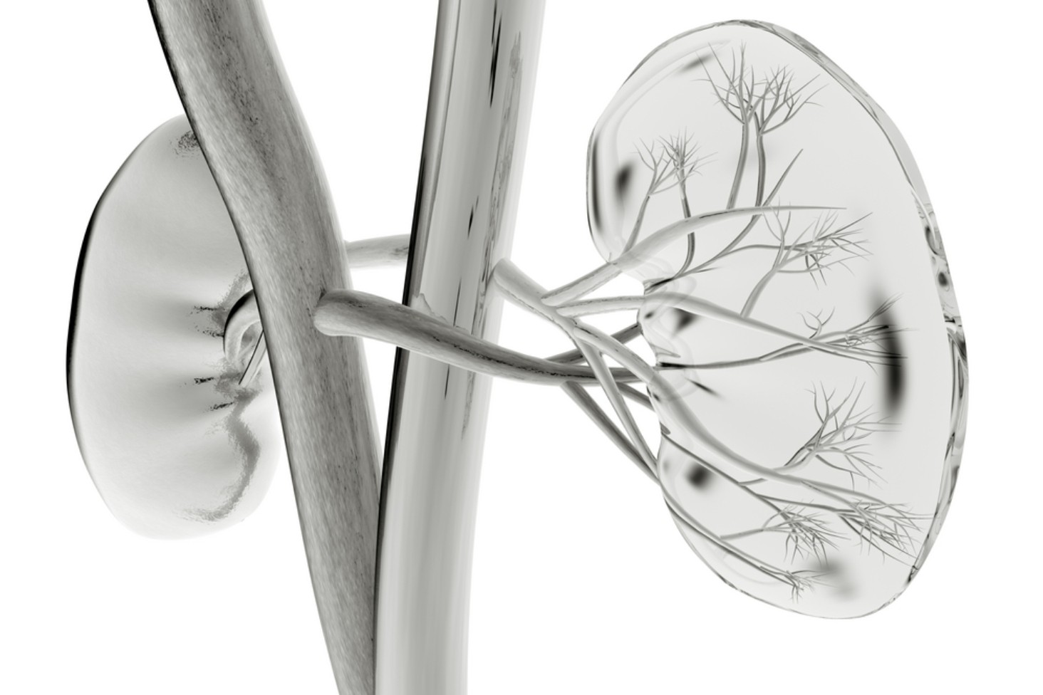 Kidney disease diagnosis with saliva test