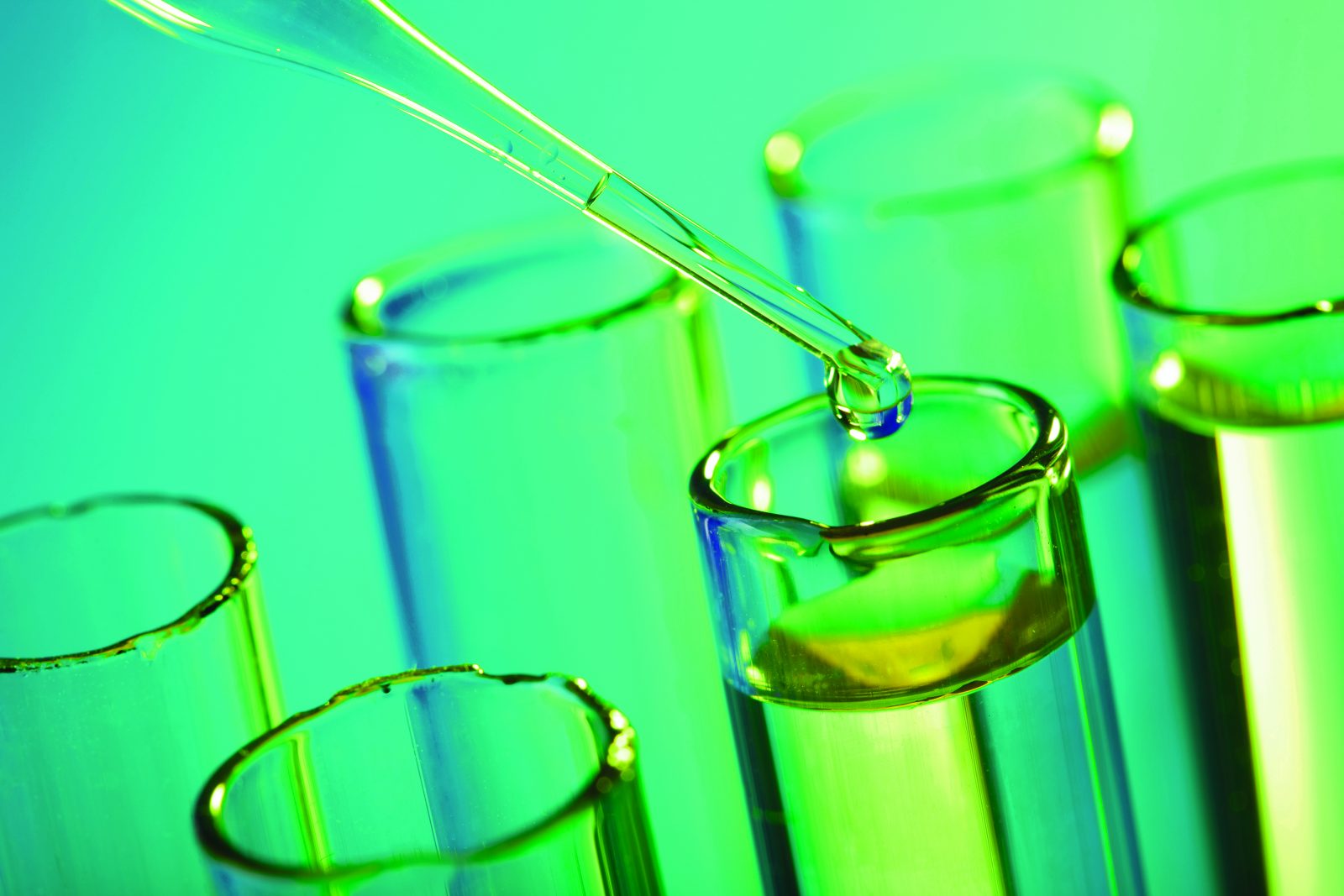 Researchers develop a test for rapid diagnosis of sepsis - Bioanalysis Zone