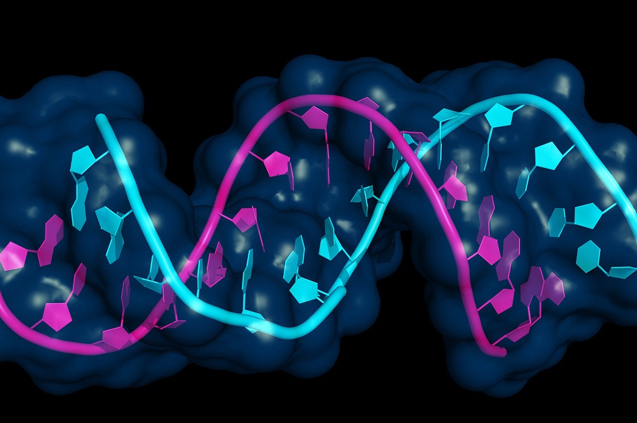 Oligonucleotides | Bioanalysis Zone