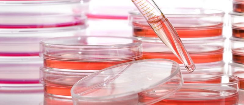 Micro-SPE in pipette tips as a tool for analysis of small-molecule ...