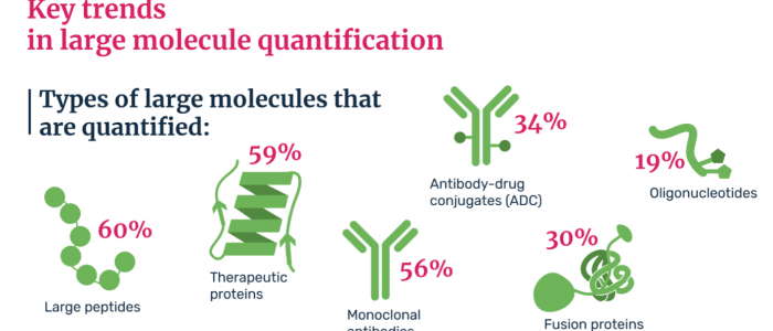 Large molecule quantification by LC–MS infographic - Bioanalysis Zone