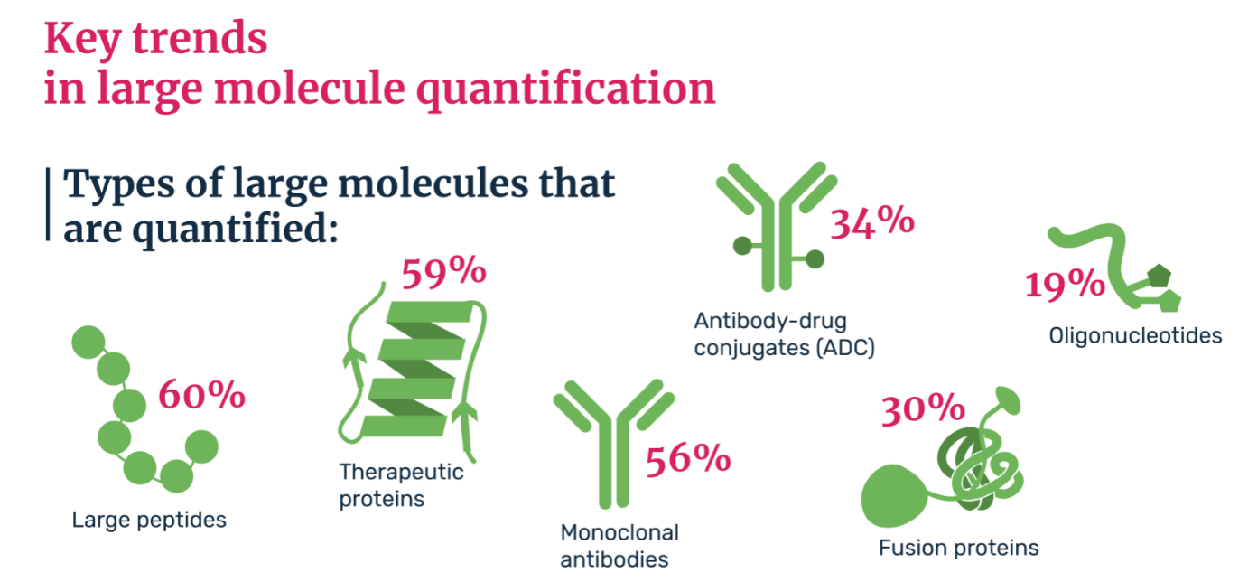 Large molecule quantification by LC–MS infographic - Bioanalysis Zone
