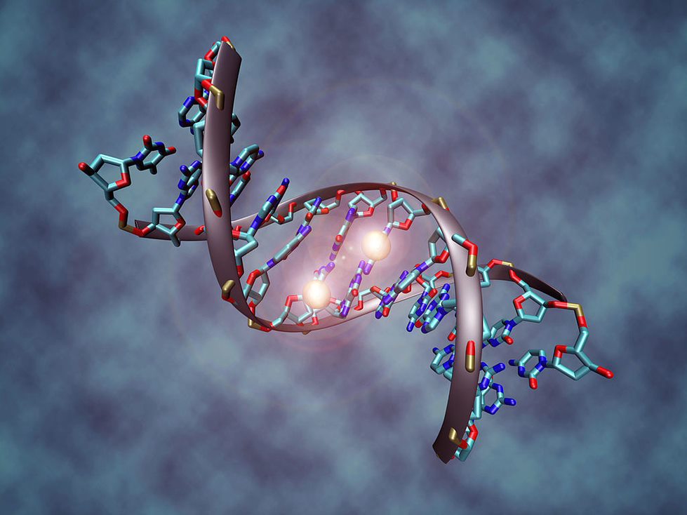 The era of therapeutic oligonucleotides has just begun - Bioanalysis Zone
