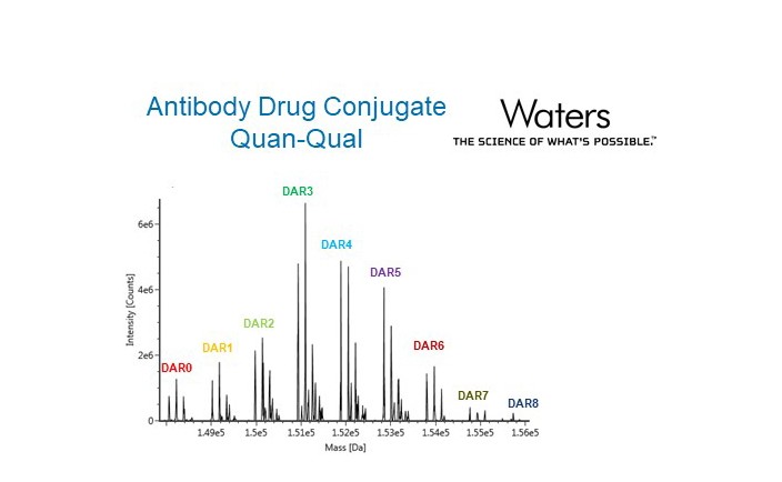 ADC DAR analysis by IA-LC-HRMS | Bionalysis Zone