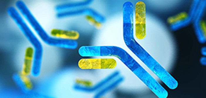 Intact protein LC–MS for pharmacokinetic and in-life study support ...