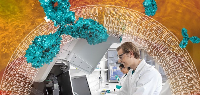 High-throughput reagent pairing and PK assay development using an ...
