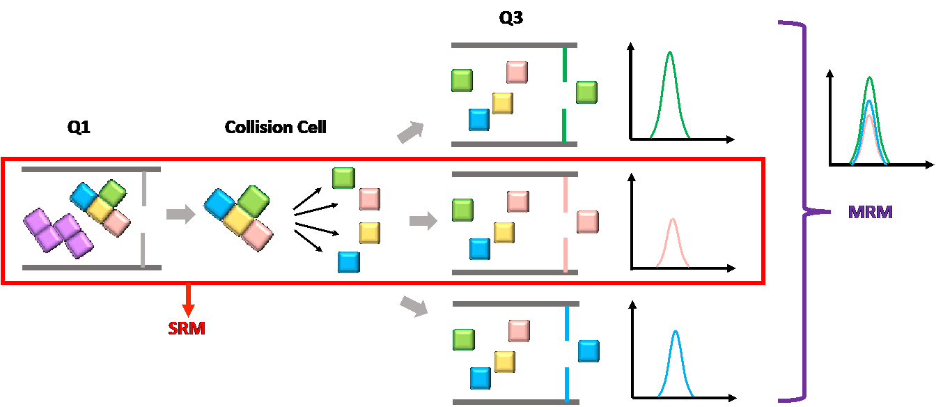 Learn with Lin about LC–MS bioanalysis: part III tune the triple quadrupole system - Bioanalysis ...