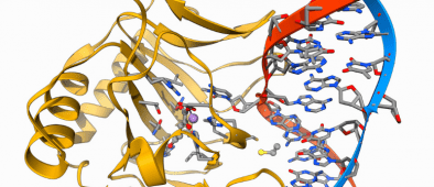 Taking proteomics to the next level with MaxQuant 2.0 - Bioanalysis Zone