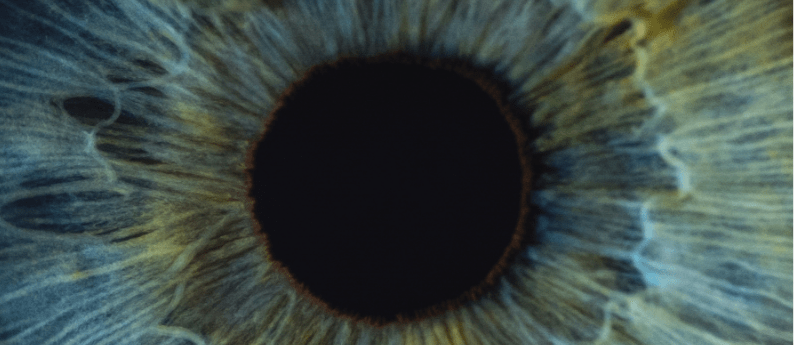 Infographic: ocular cell and gene therapies – why the eye ...