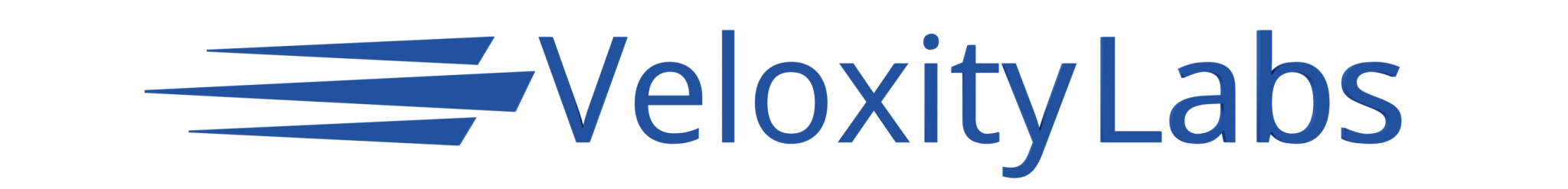 Veloxity Labs: an interview with Shane Needham and Mitch Johnson ...