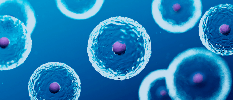 Cell and gene therapy products Spotlight survey - Bioanalysis Zone