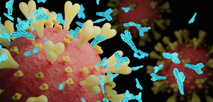Feasibility of singlicate-based analysis in bridging ADA assay on Meso ...