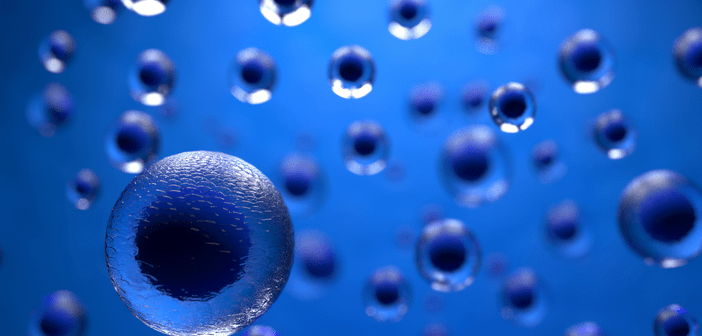 Validating flow cytometry assays for cell and gene therapies ...