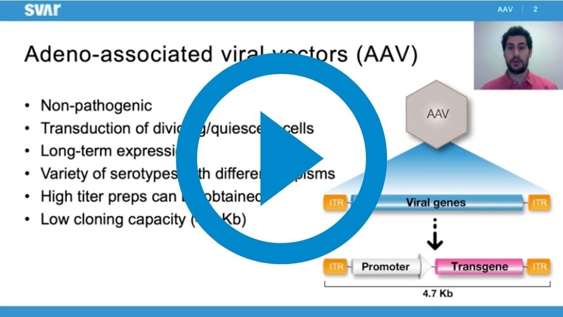 SVAR Life Science - Bioanalysis Zone