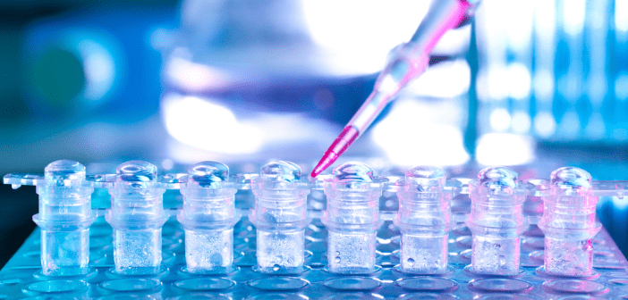 Infographic: the use of ELISpot assays for evaluating the safety of ...