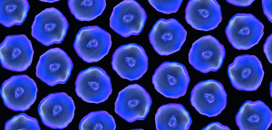 Kincell Bio launches with cash injection of $36M aiming to improve cell ...