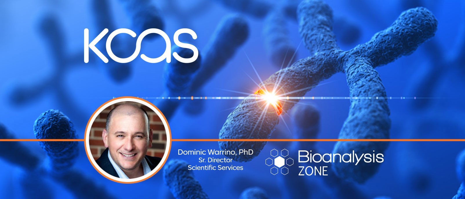 Bioanalytical considerations for immunogenicity of cell and gene therapies - Bioanalysis Zone