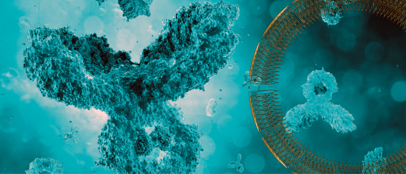 Overcoming matrix interference: ADA immunoassays using an automated ...