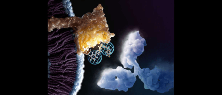 The power of virtual screening for identifying small molecule drug ...