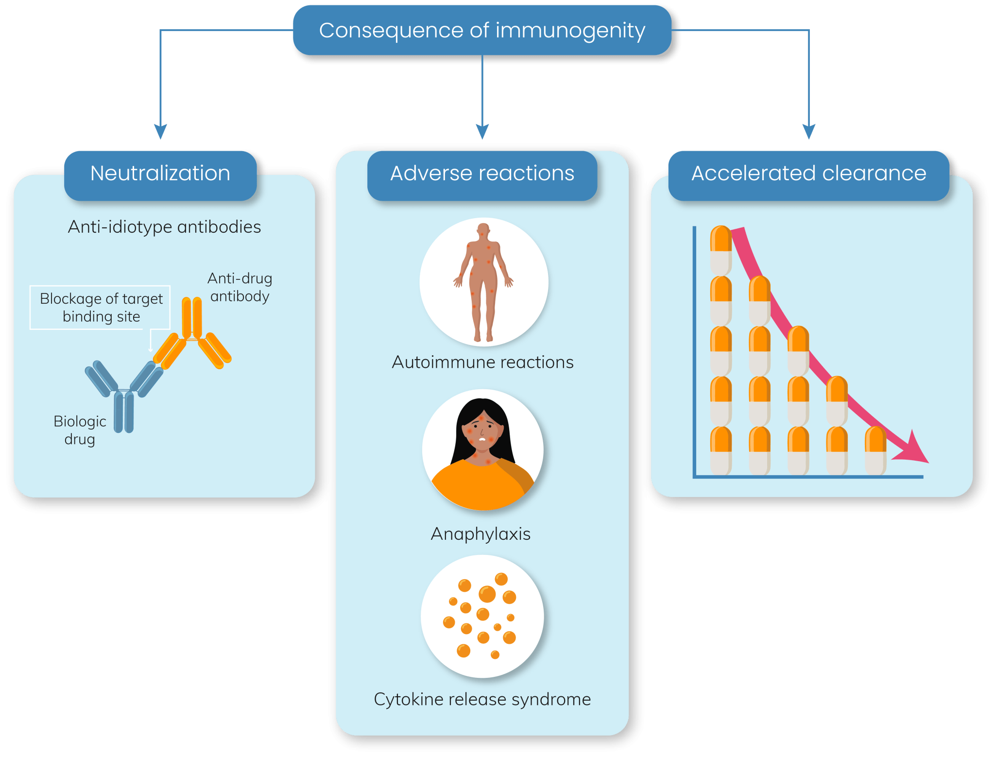What is immunogenicity? - Bioanalysis Zone
