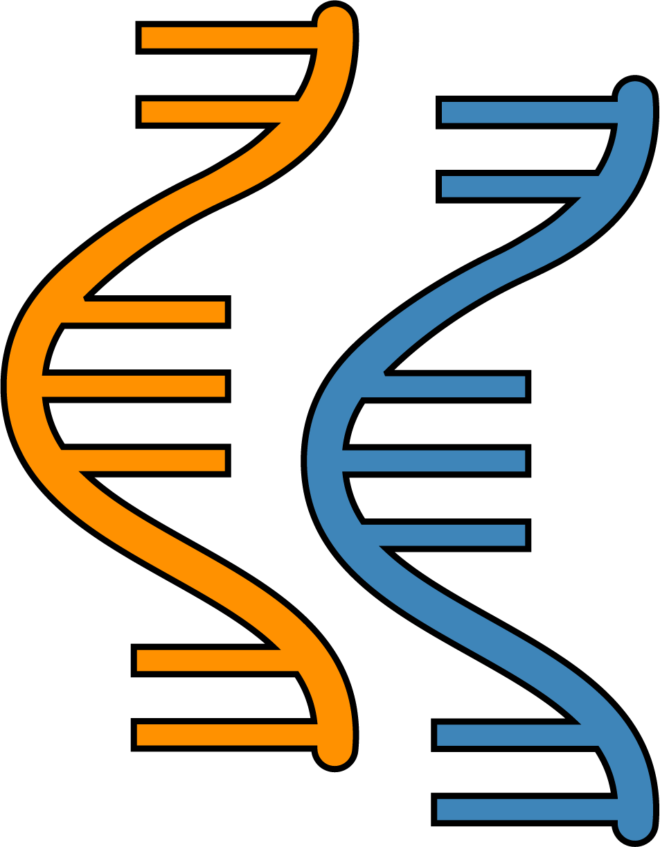 What is immunogenicity? - Bioanalysis Zone